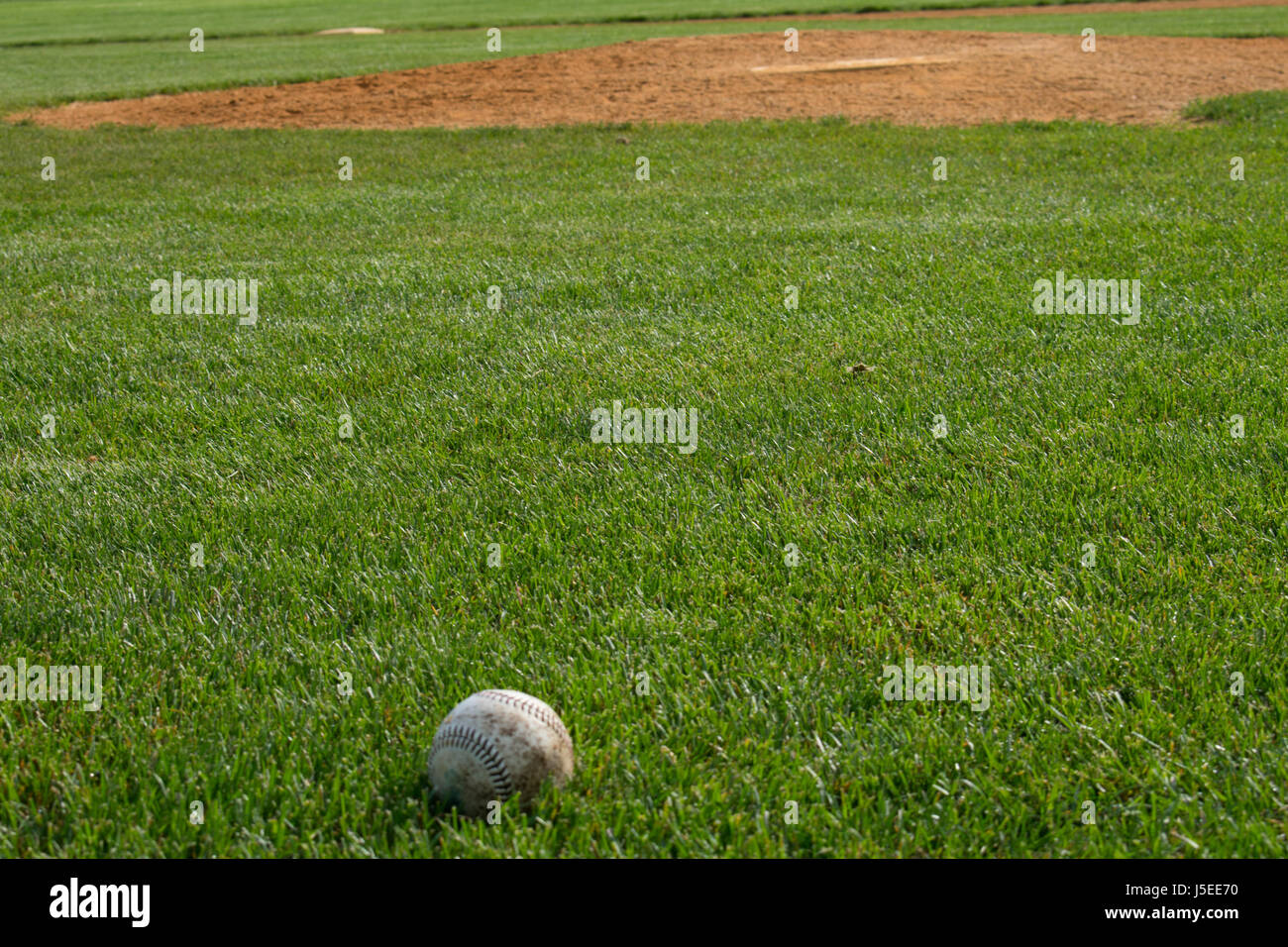 A won baseball sits in the mown grass of a baseball diamond Stock Photo ...