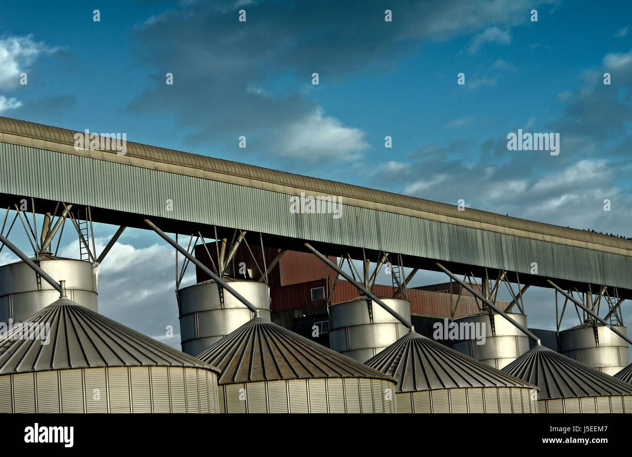 Aluminium storage silos hi-res stock photography and images - Alamy