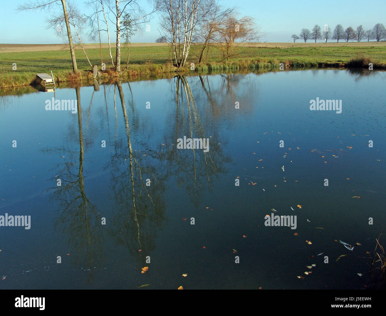 blue waters small tiny little short fresh water pond water carp pond ...