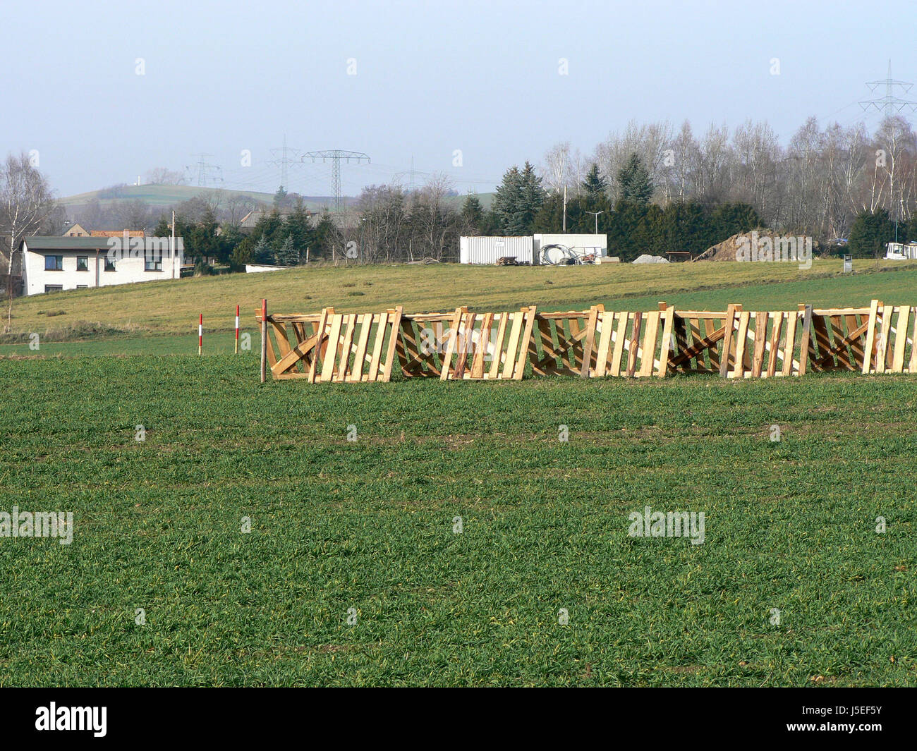 wait waiting tree trees winter green wood shine shines bright lucent ...