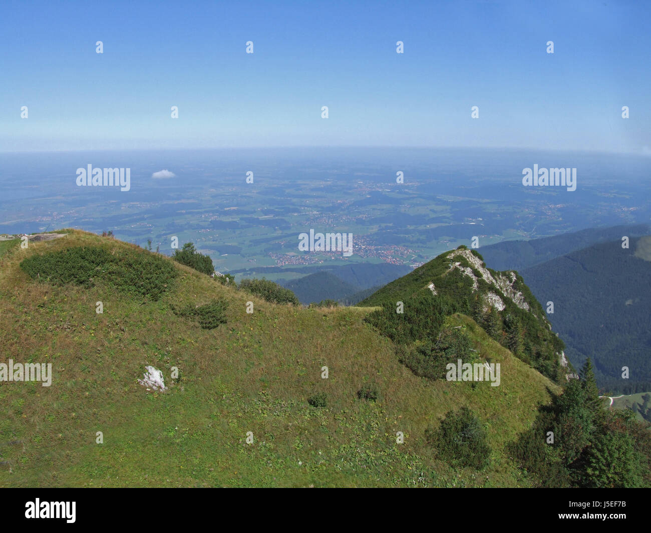 beautiful beauteously nice tree trees stone green alps look glancing ...