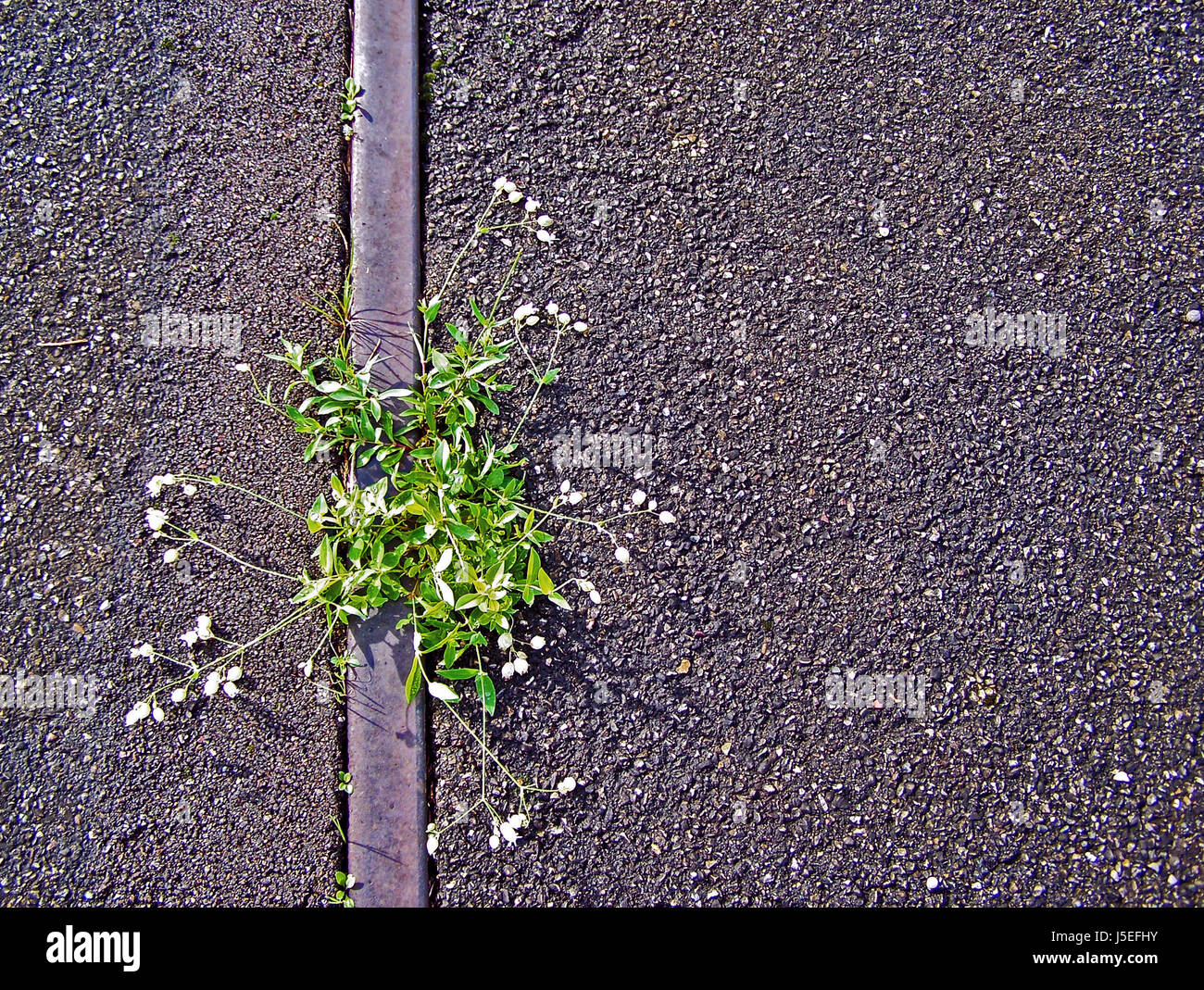 Zurckgeholt hi-res stock photography and images - Alamy