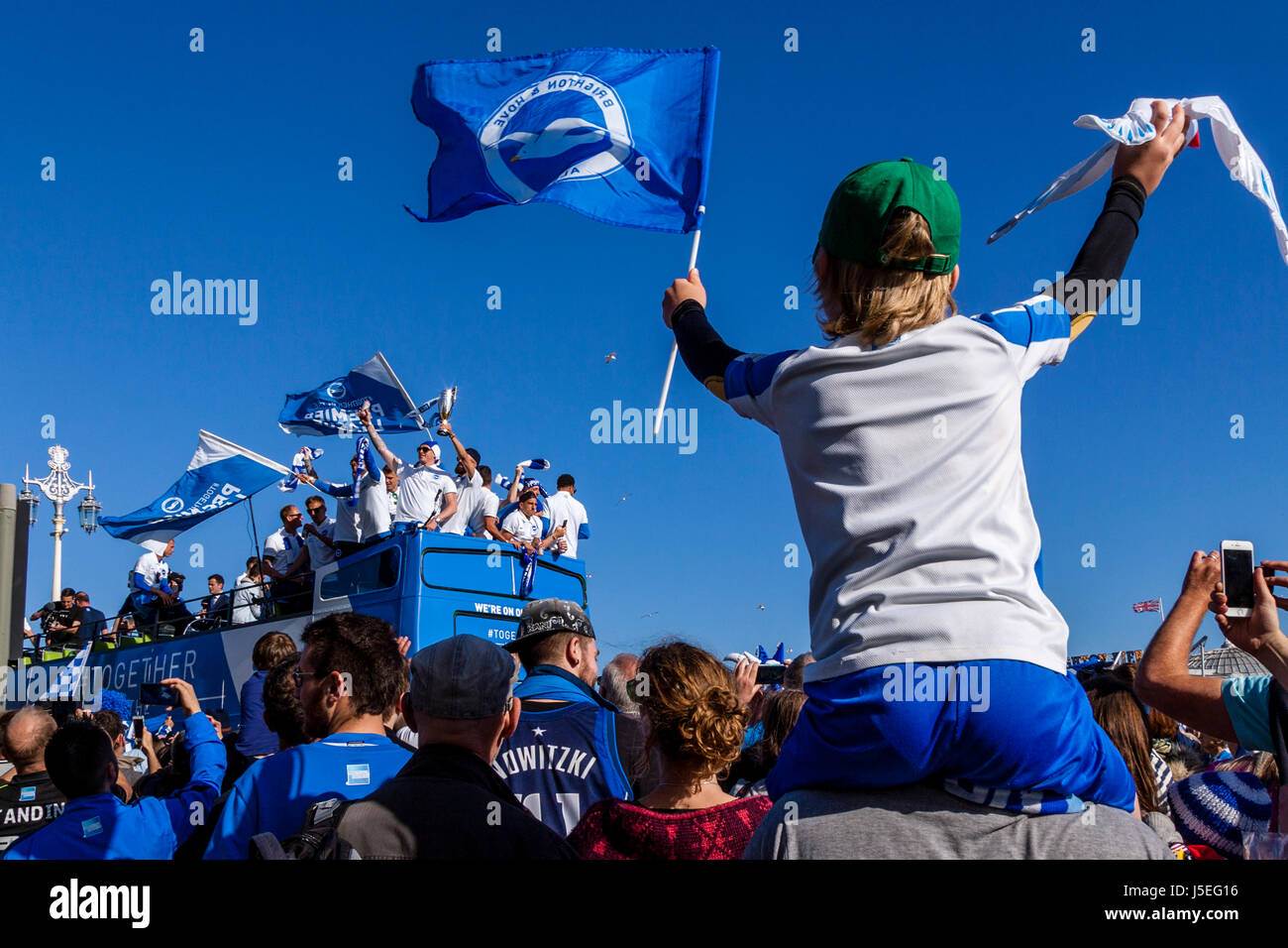 A Cheering Young Brighton and Hove Albion Football Fan Watches As The ...