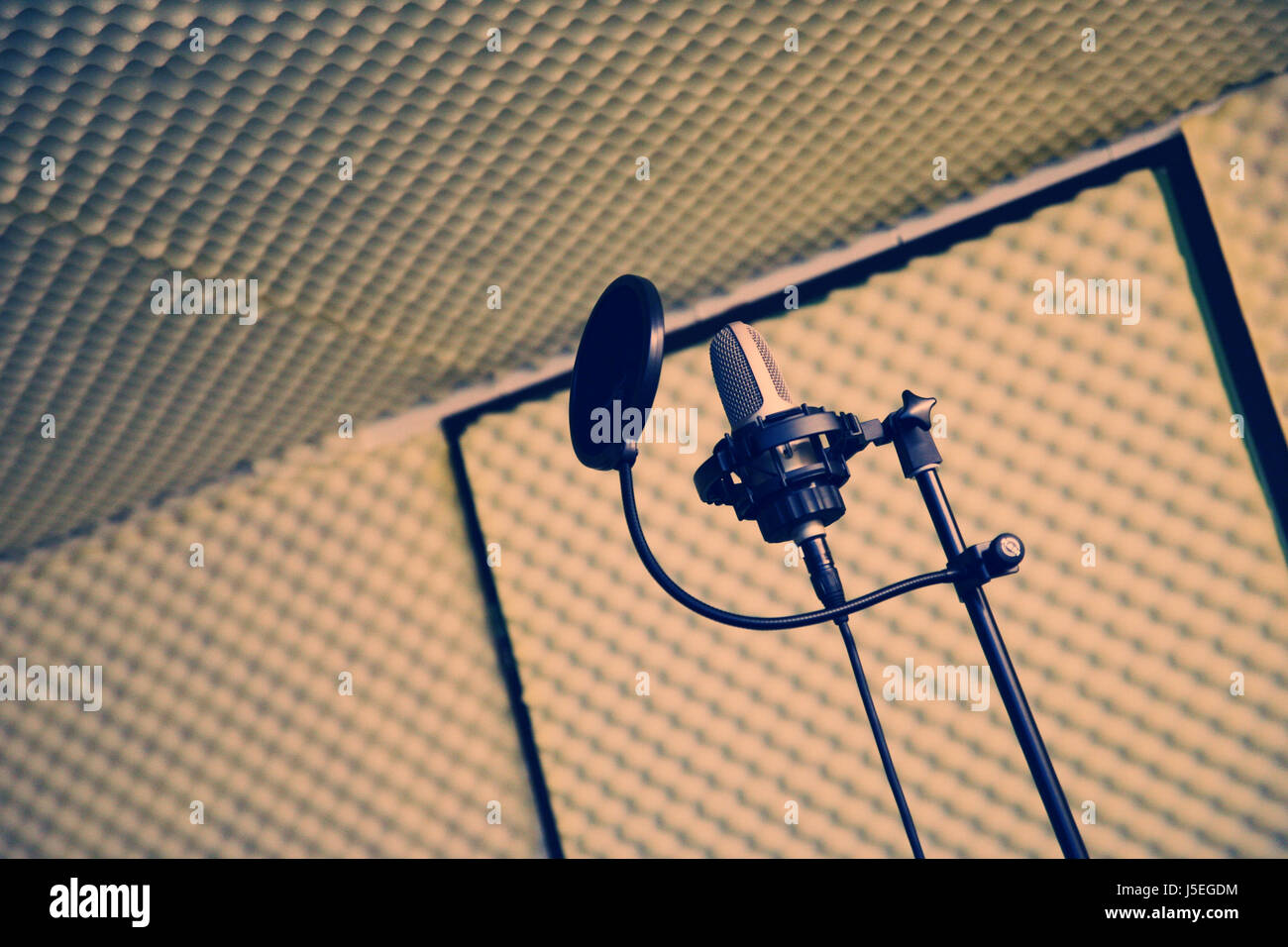 Into mic hi-res stock photography and images - Alamy