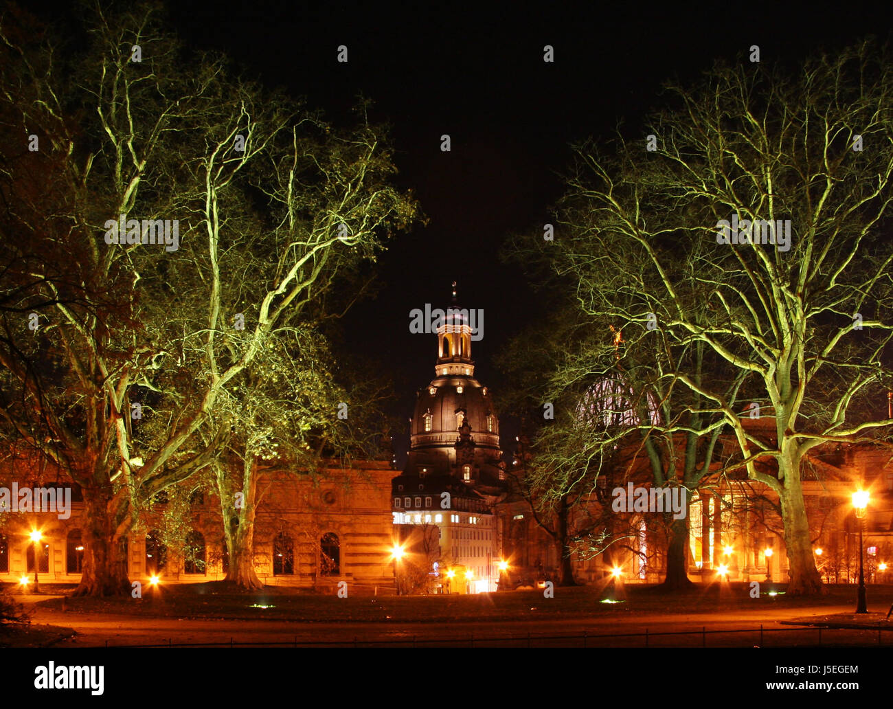 city town Dresden nature historical city town night nighttime lights ...