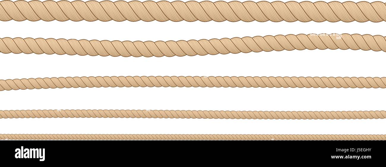 Different thickness horizontal brown ropes isolated on white background ...