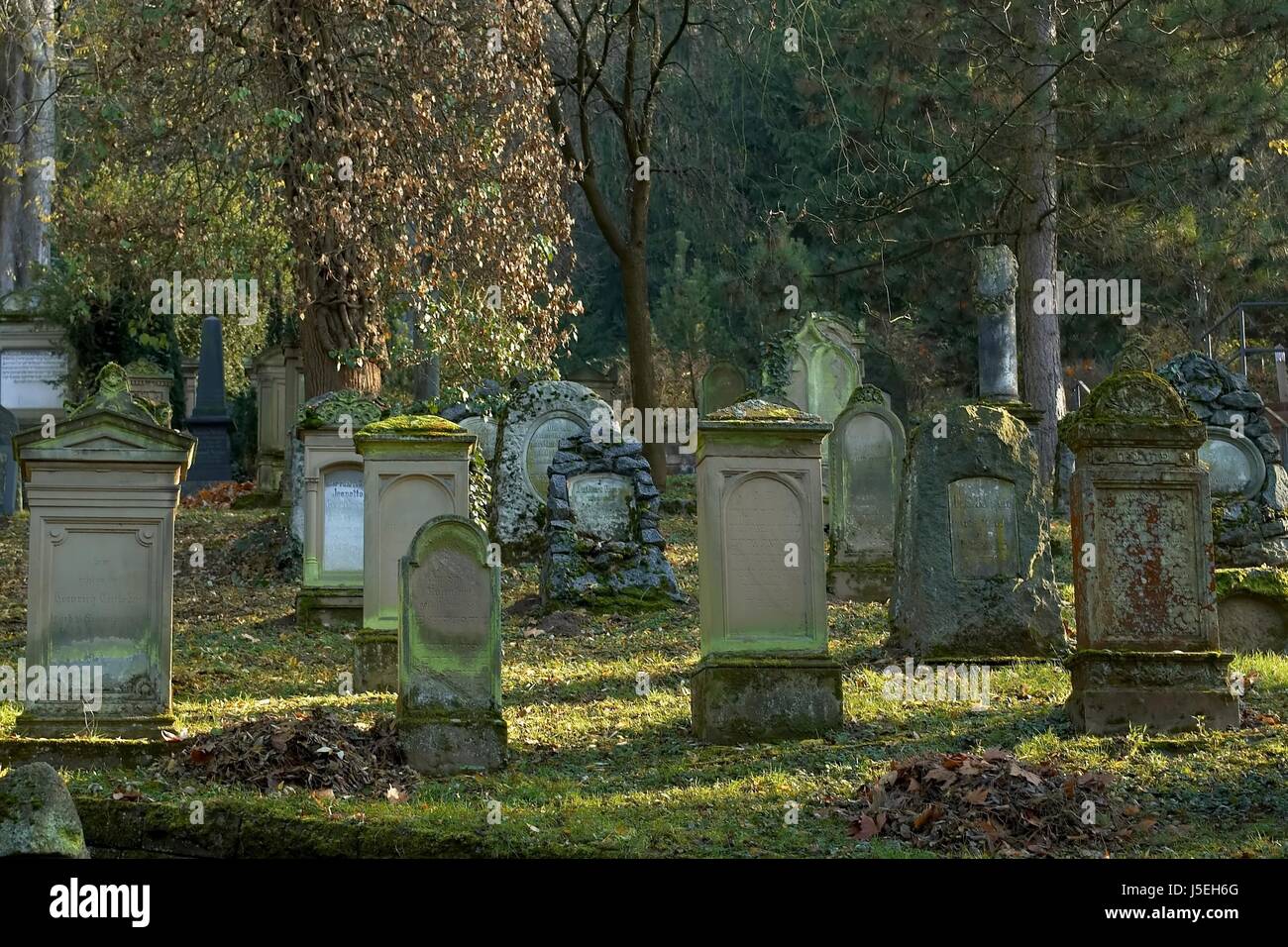 cemetery gravestone tombstone moss mystic weatherworn savaged hebrew ...