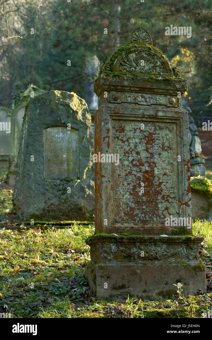 cemetery gravestone tombstone moss mystic weatherworn savaged hebrew ...