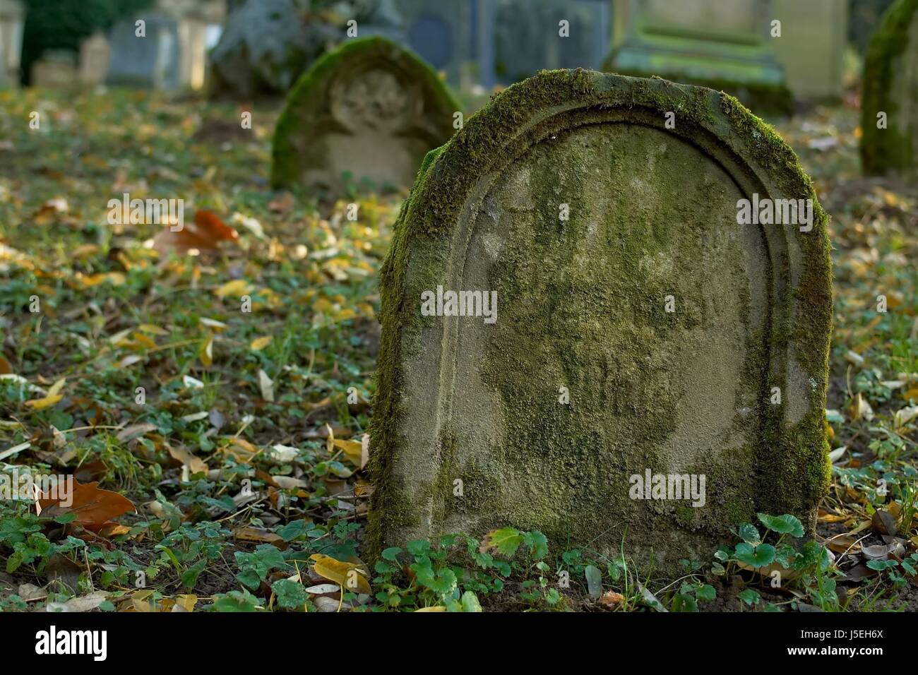 cemetery gravestone tombstone moss mystic weatherworn savaged hebrew ...