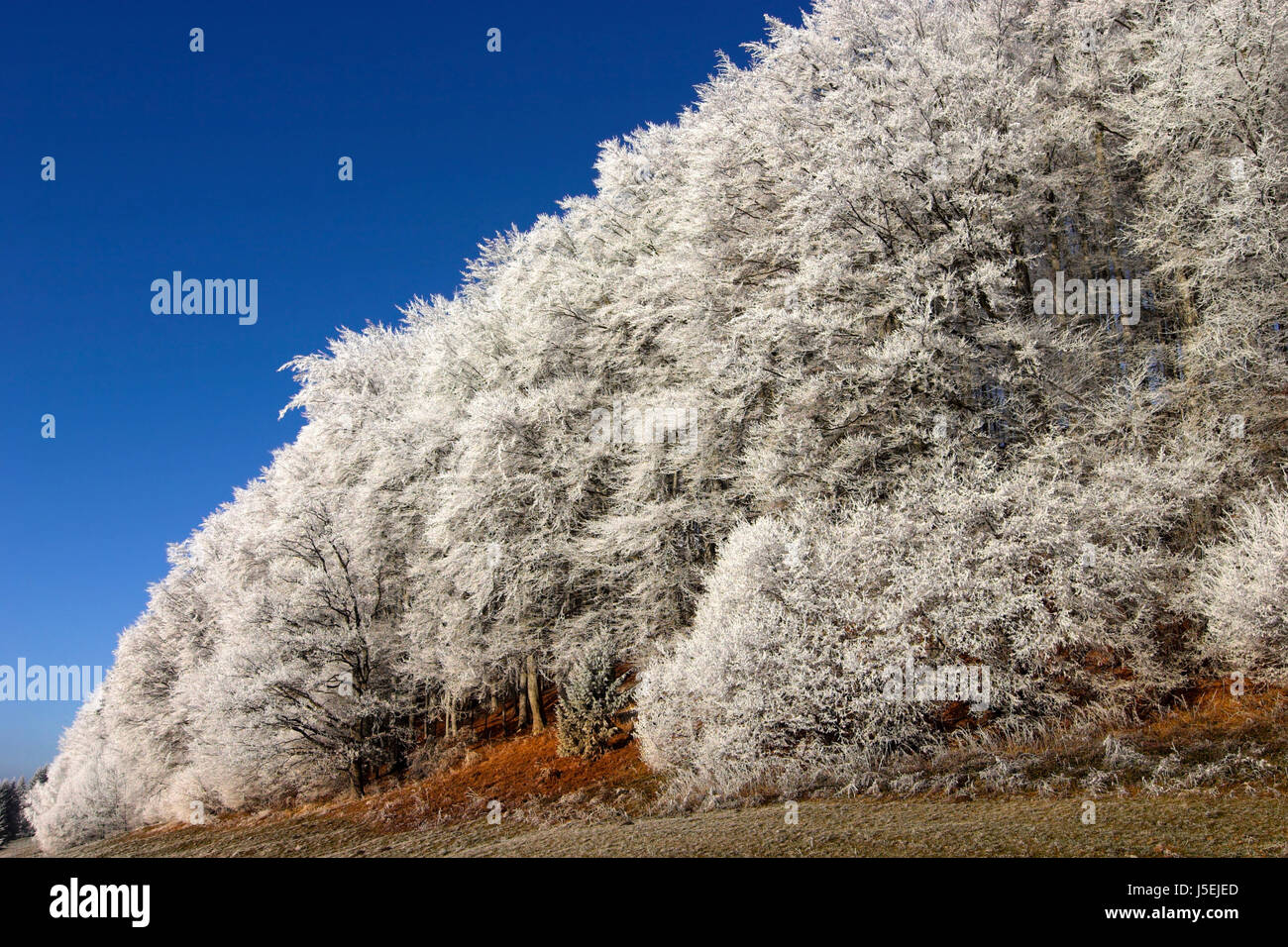 Whitewall hi-res stock photography and images - Alamy