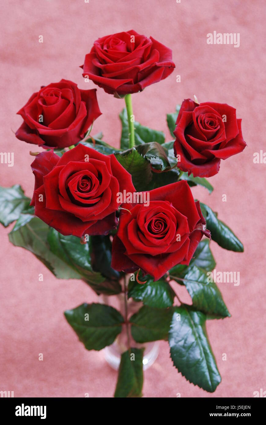 sign signal flower flowers plant affection delicate pictogram symbol ...