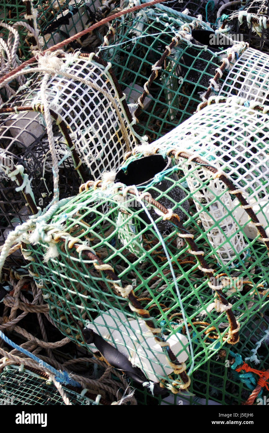 traps during drying Stock Photo - Alamy