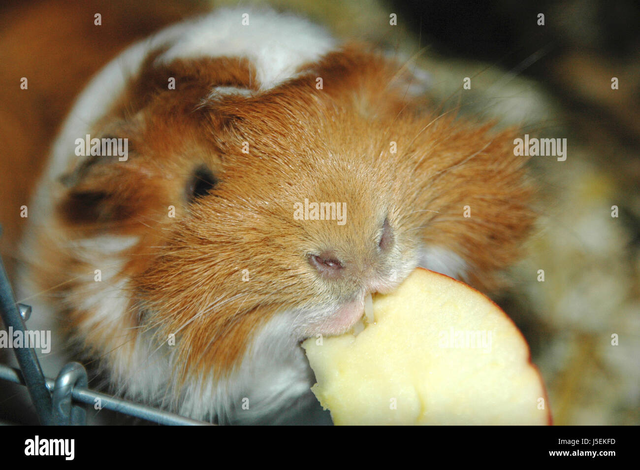 Strong vortex hi-res stock photography and images - Alamy