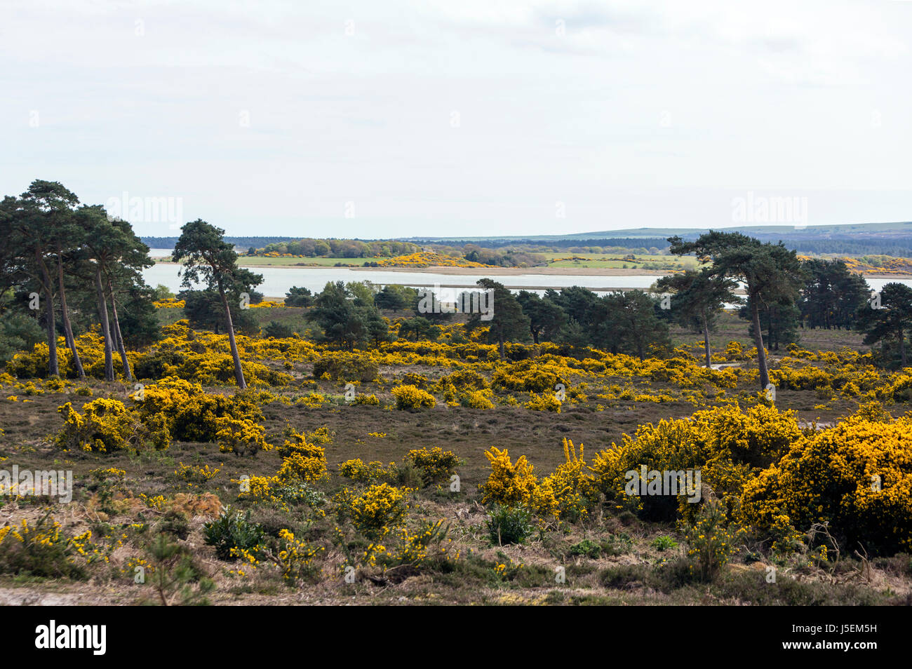 Wych Channel High Resolution Stock Photography and Images - Alamy