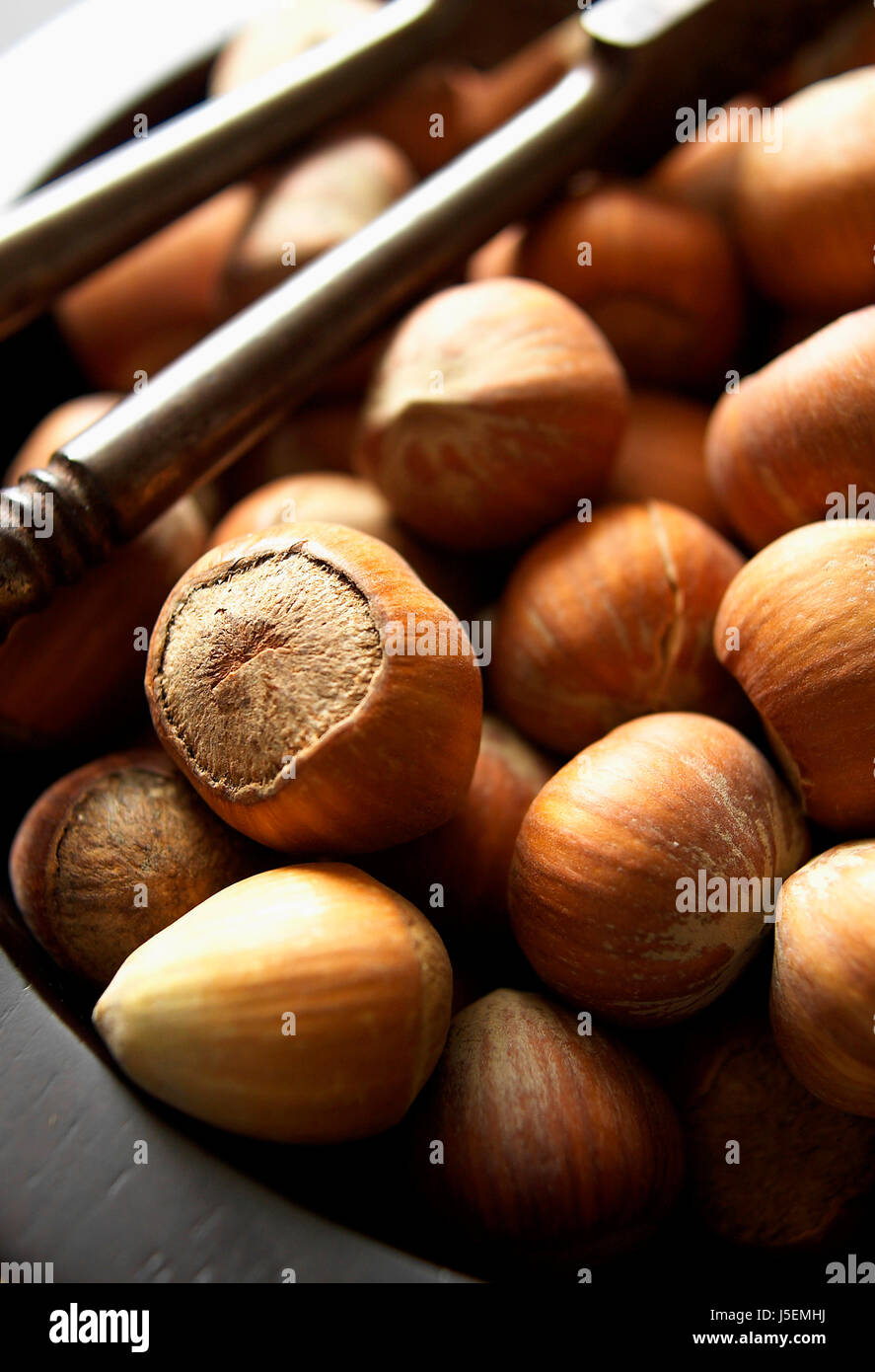 Hazel nuts (corylus avellana) hi-res stock photography and images - Alamy