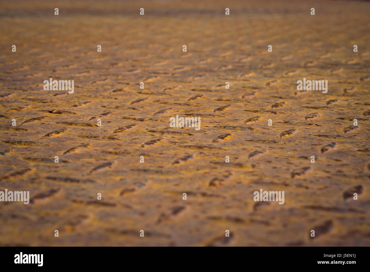 Old rusty diamond plate steel floor background Stock Photo - Alamy