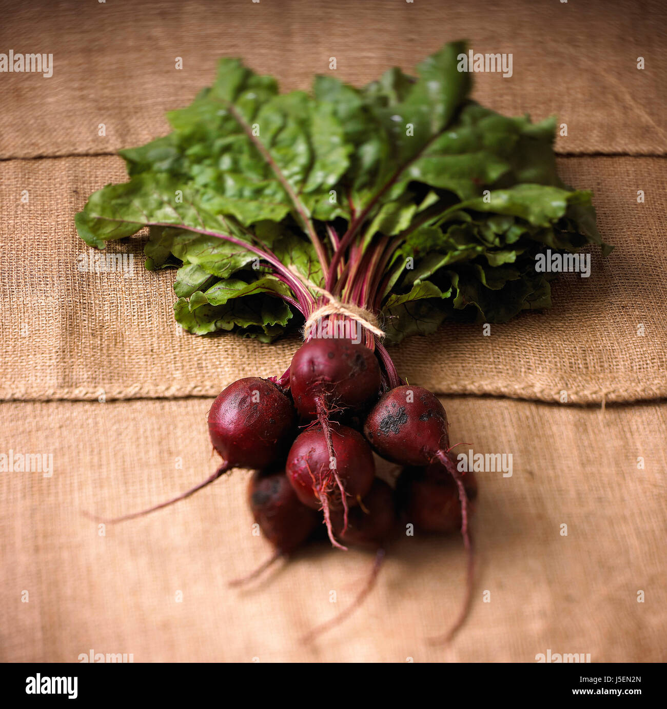 Beetroot, Beta vulgaris, Studio shot of red coloured vegtables Stock ...
