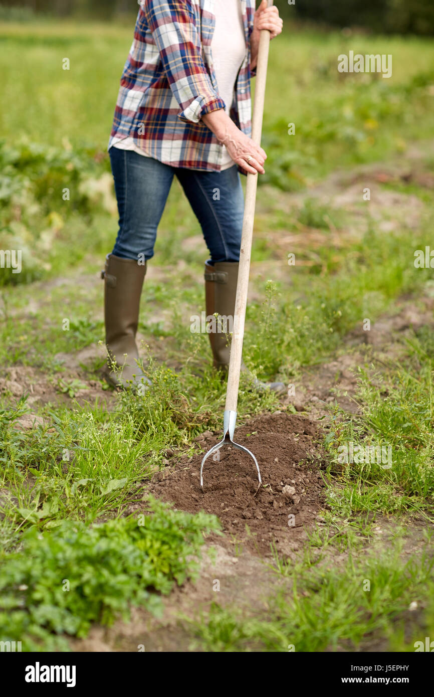 Mature woman weeding garden hi-res stock photography and images - Alamy