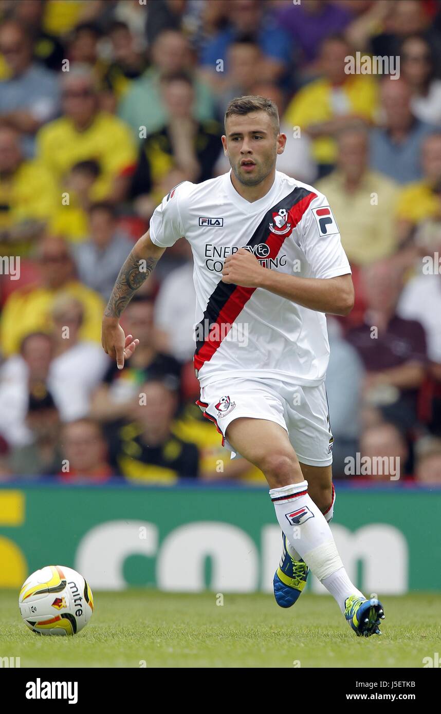 Steve cook hi-res stock photography and images - Alamy