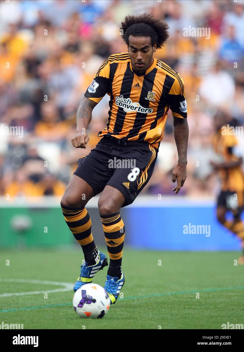 Hull Tigers High Resolution Stock Photography and Images - Alamy