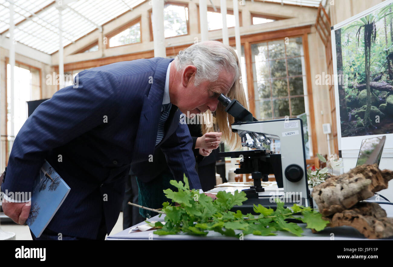 The Prince of Wales uses a microscope to view slides showing different ...