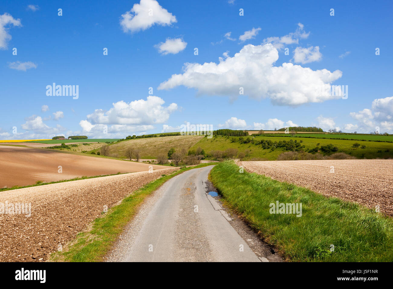 Country road through rolling hills hi-res stock photography and images ...