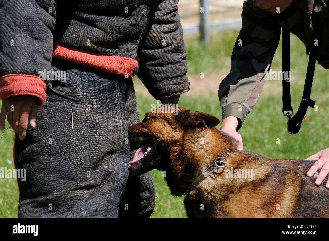 French Air Force commandos take part into antiterrorist drill at Mount ...