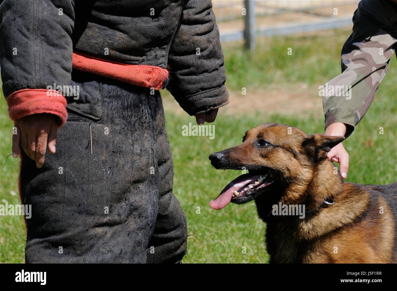 French Air Force commandos take part into antiterrorist drill at Mount ...