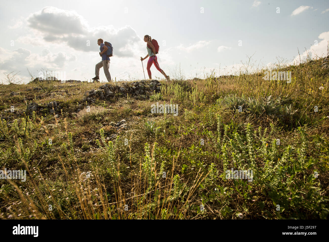 Couple backpackers hiking on the path in mountains during summer Stock ...