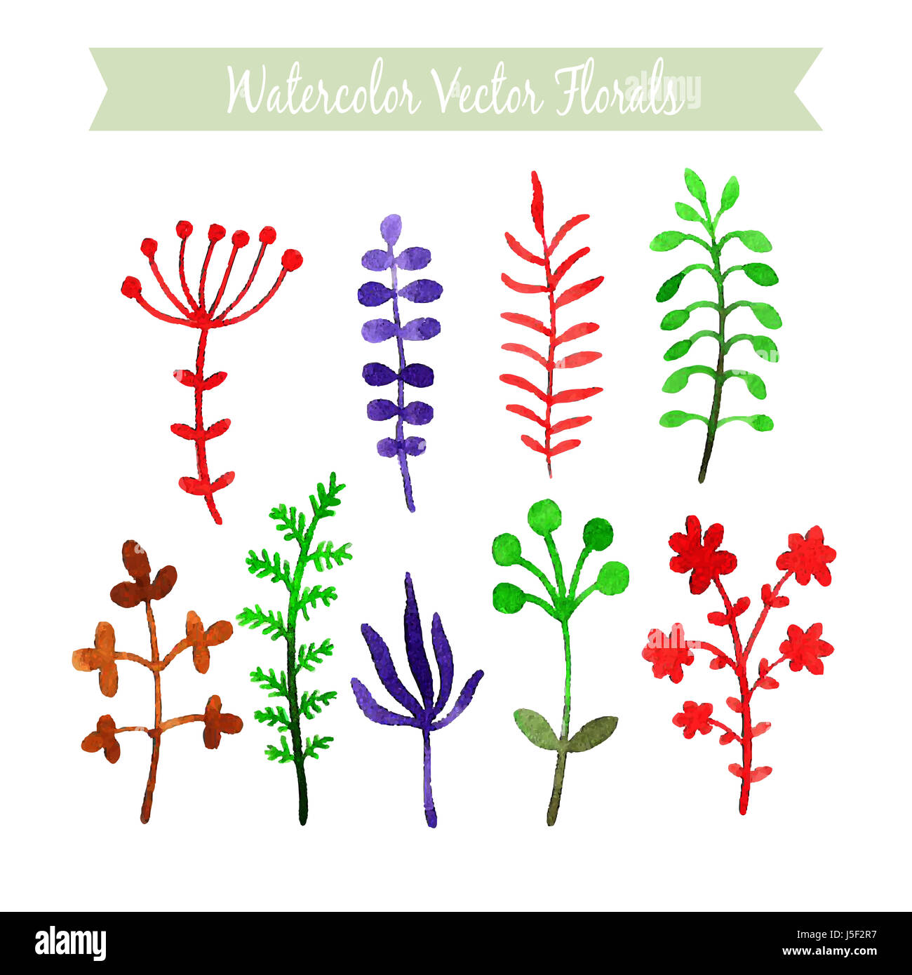 Watercolor branch green leave Cut Out Stock Images & Pictures - Alamy