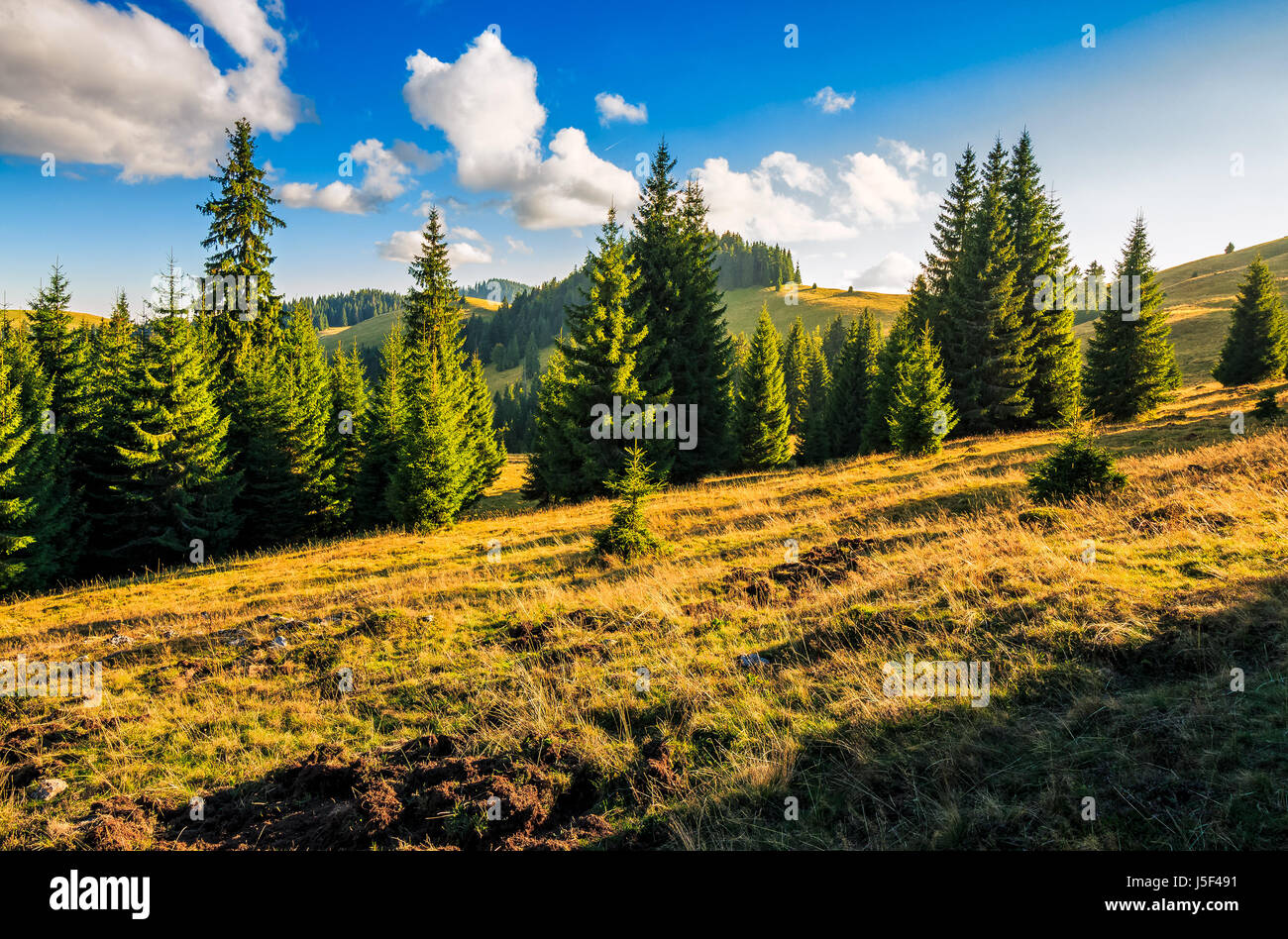 Classic Carpathian landscape. Autumn landscape in mountains of Romania ...
