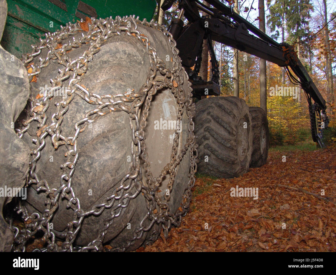 tree green wood chain wheels drop autumn colours forester autumn ...