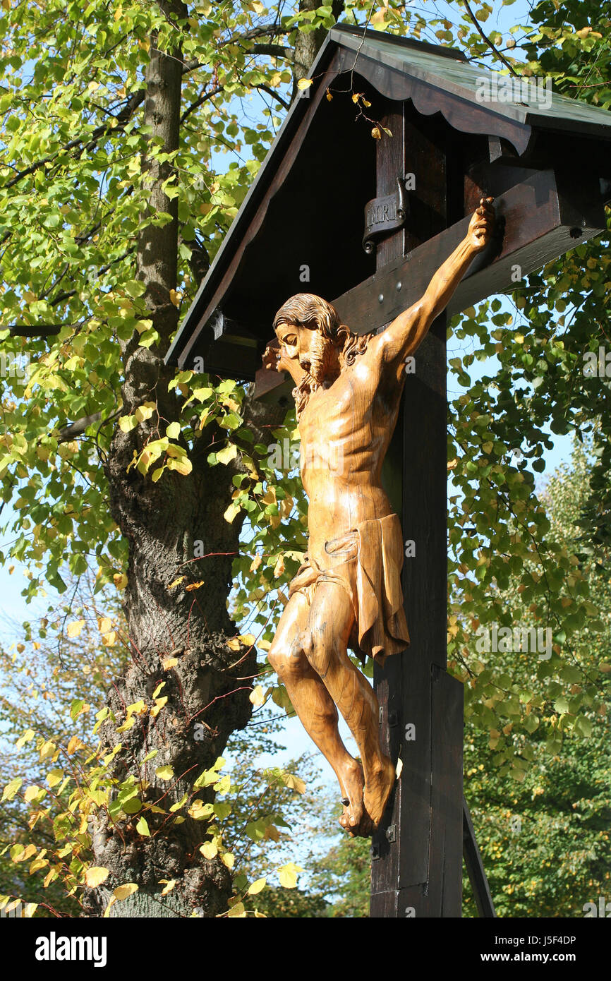religion belief tree trees wood deciduous tree cross deciduous trees ...