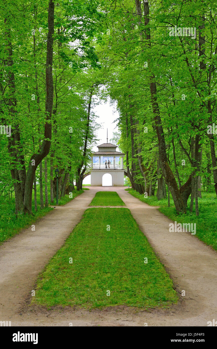 The Park and Avenue in the estate, the house-Museum of Peter Abramovich ...
