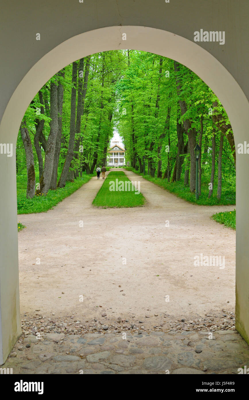 The Park and Avenue in the estate, the house-Museum of Peter Abramovich ...