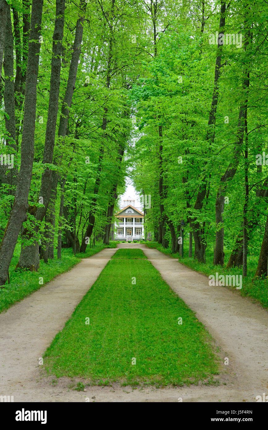 The Park and Avenue in the estate, the house-Museum of Peter Abramovich ...