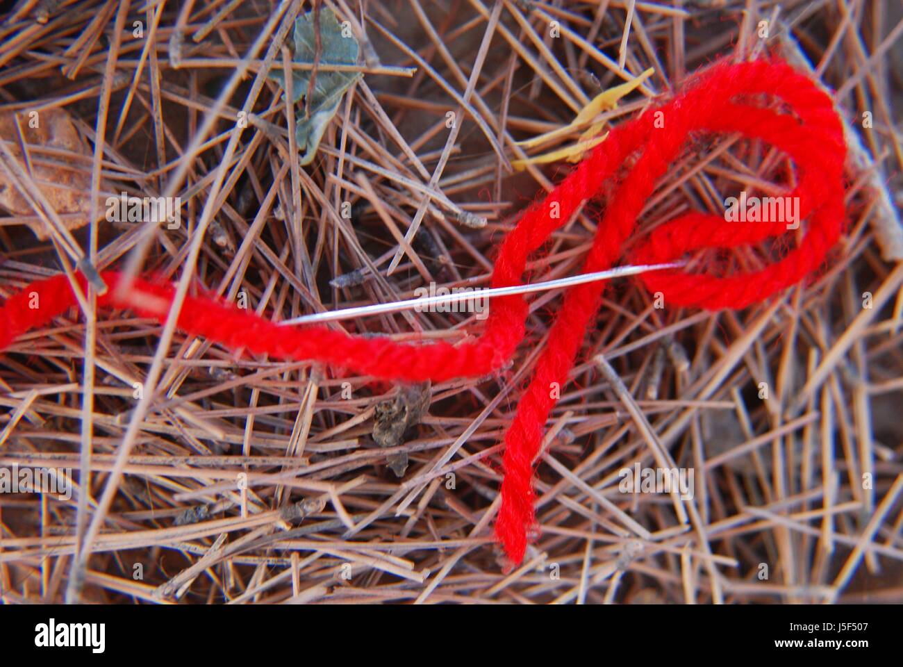 the red thread Stock Photo - Alamy