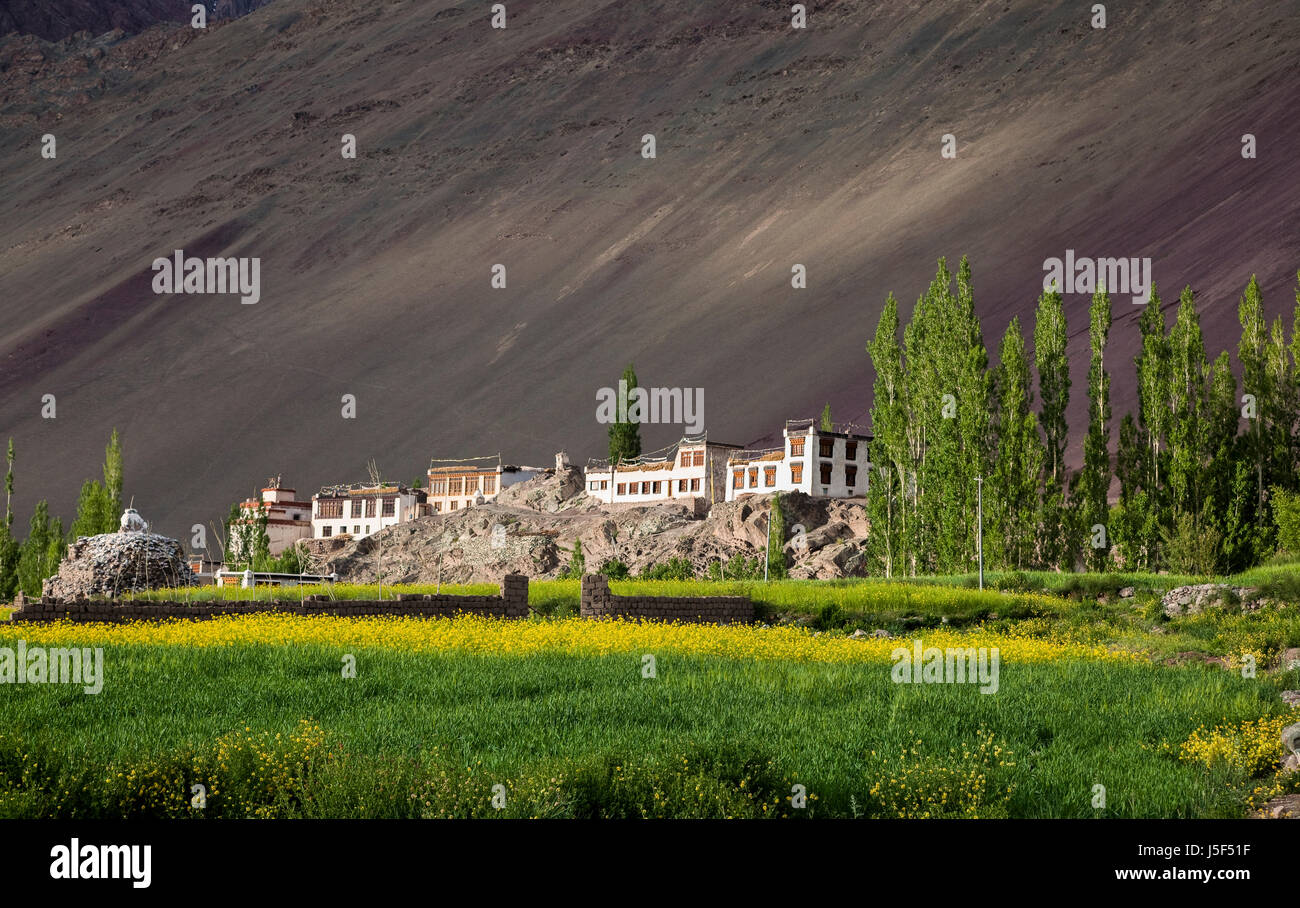 Alchi Village with green fields. Ladakh Stock Photo - Alamy