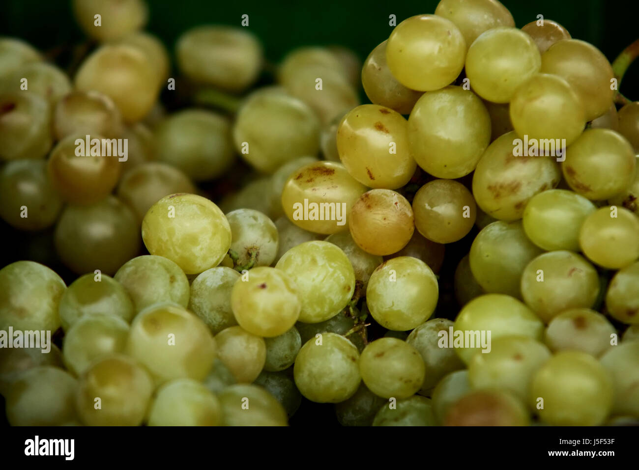 grapes fruit vital magnesium calcium potassium bunches of grapes ...