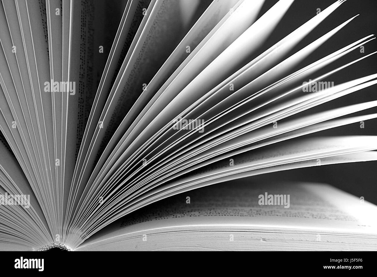 education writing font typography book pages pitched page bookpage ...