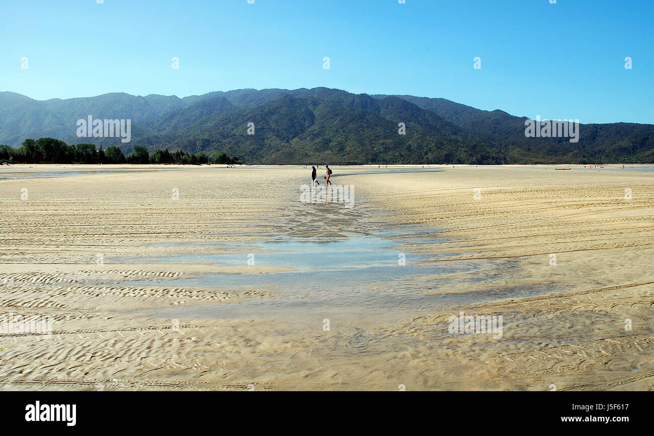 humans human beings people folk persons human human being walk go going ...