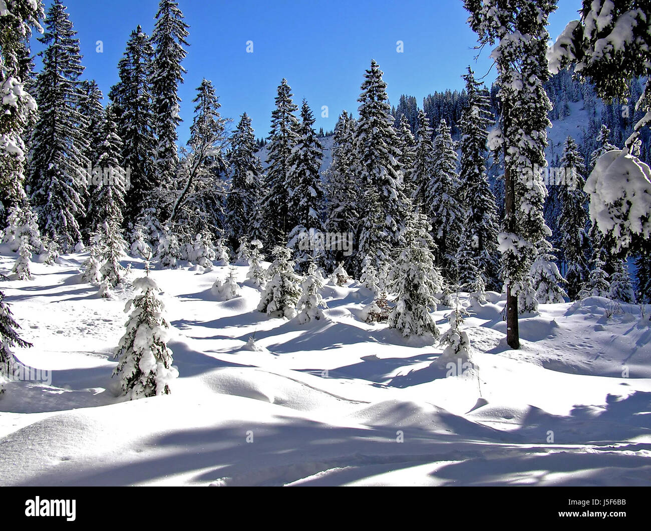 blue shine shines bright lucent light serene luminous holiday vacation ...