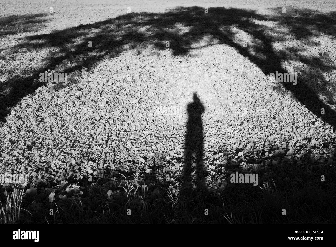 Bw symbol hi-res stock photography and images - Alamy