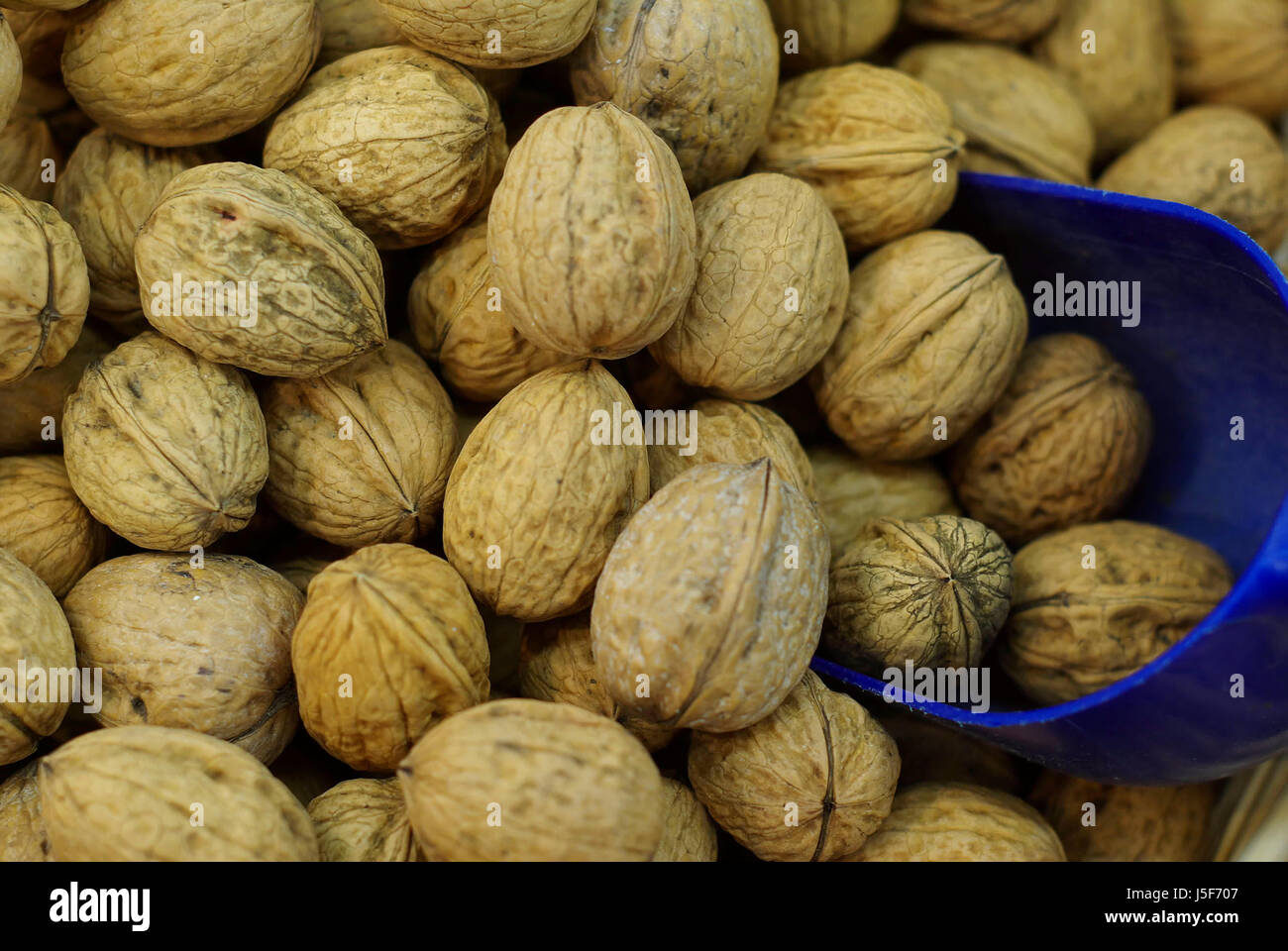 Welsche nuss hi-res stock photography and images - Alamy
