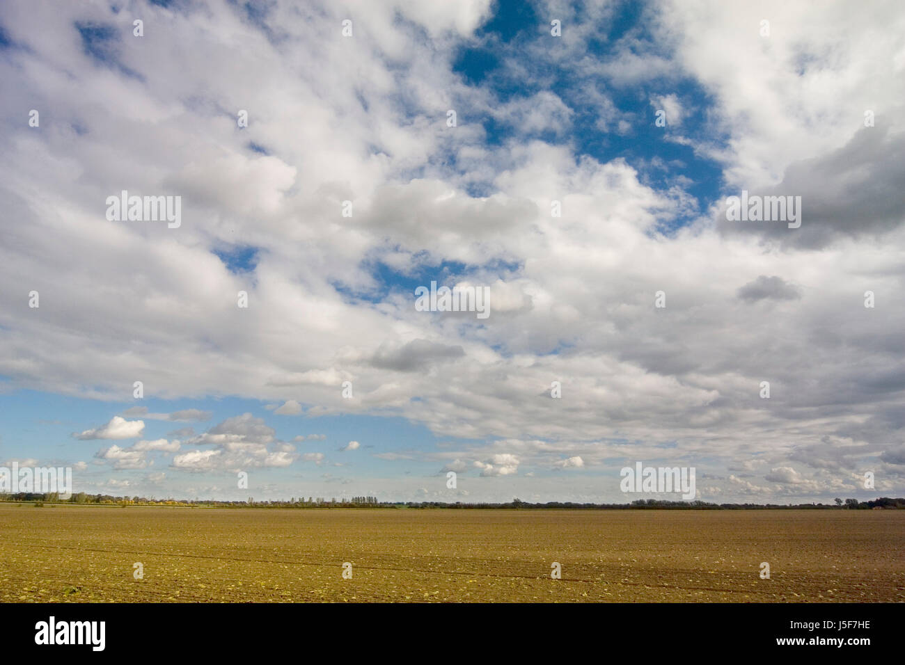 Large size hi-res stock photography and images - Alamy
