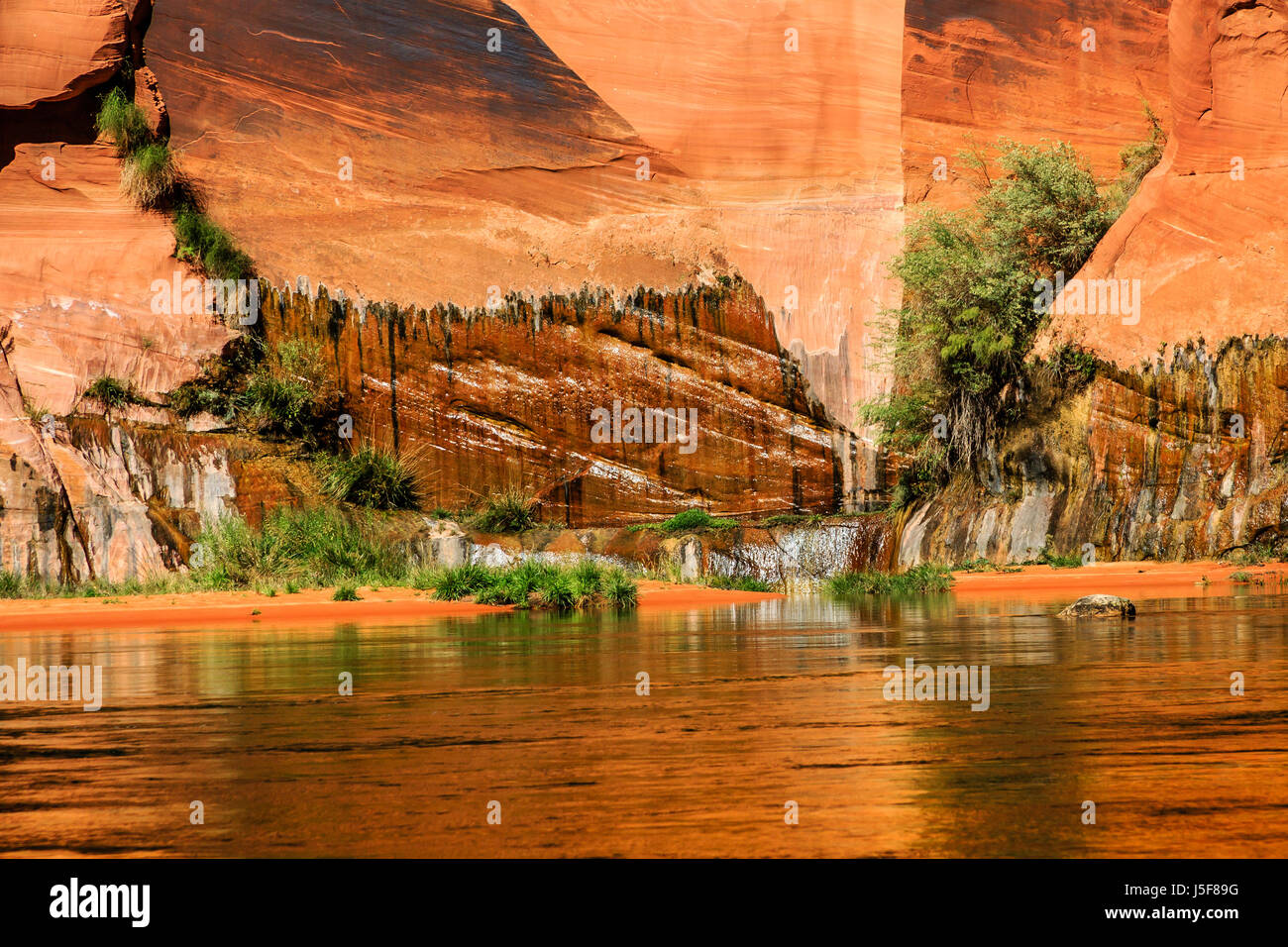 Water seep cliff hi-res stock photography and images - Alamy