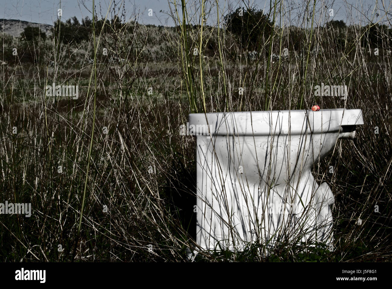 isolated snail toilet abstract taken down alone lonely nature still ...