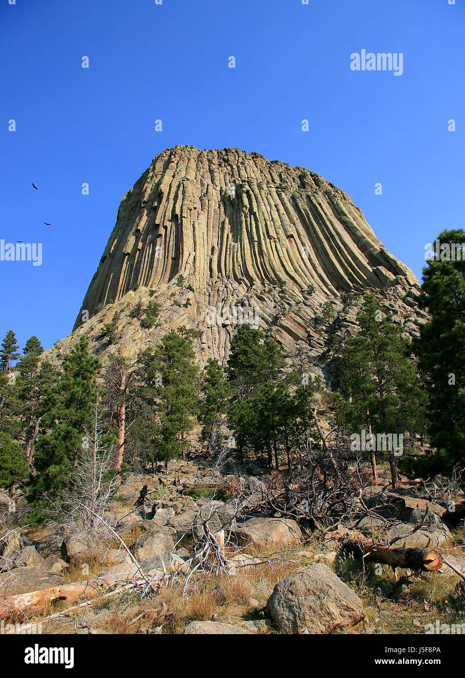 tree trees mountain vulcan volcano blue tower shine shines bright ...