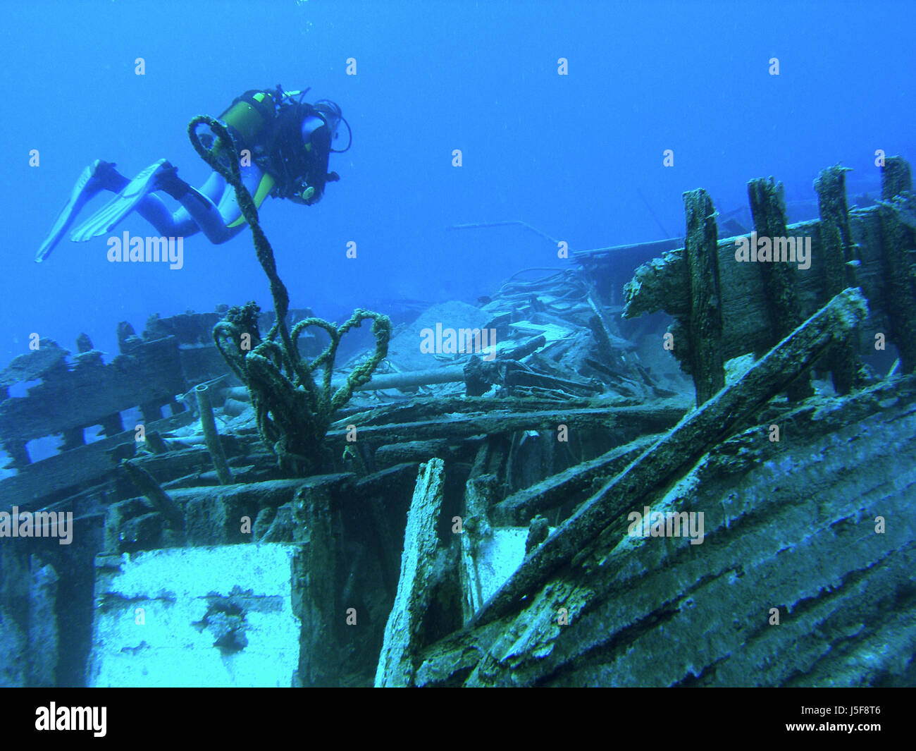 wood downfall broken float dew egypt salt water water observe railing ...