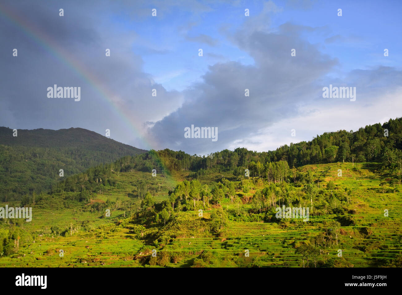 Rainbow landscape sunset in Tana Toraja highlands, a place where nature ...